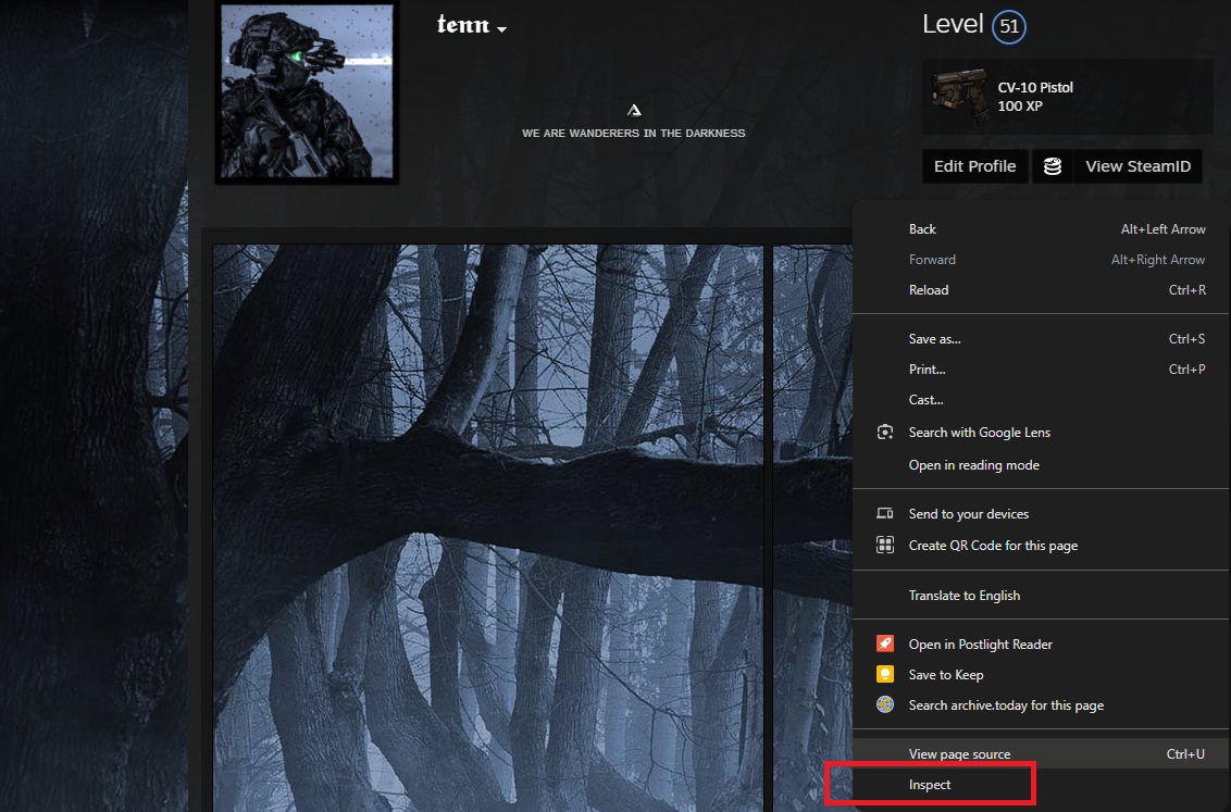 Steam Community :: Guide :: Preview Steam Theme/Special profiles with ...