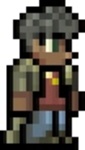 Steam Community :: Guide :: [OUTDATED]How to get all NPCs in Terraria