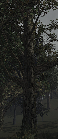 Steam Community :: Guide :: Tree Identification