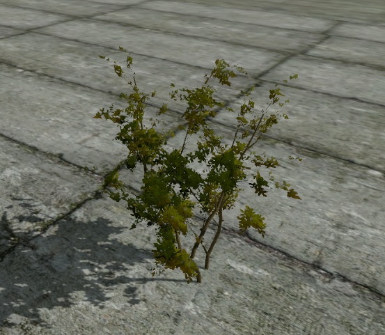 Steam Community :: Guide :: Isador's comprehensive guide to survival in ...