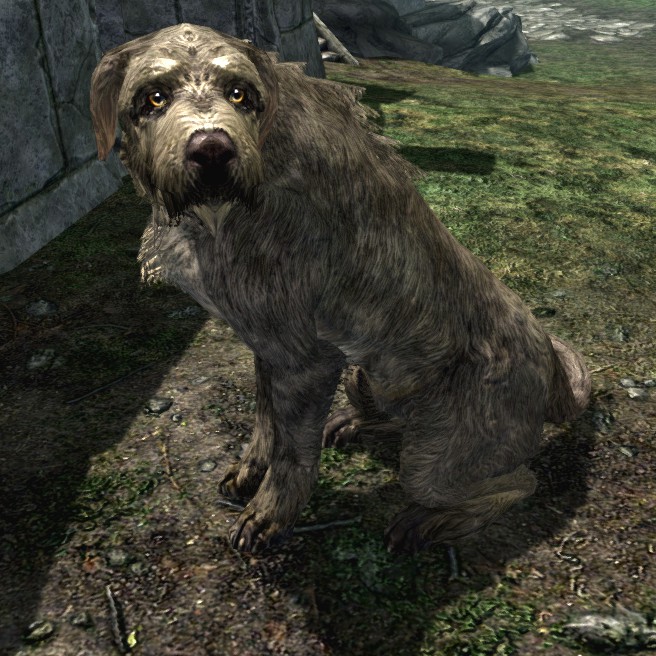 Steam Workshop::Dogs of Skyrim