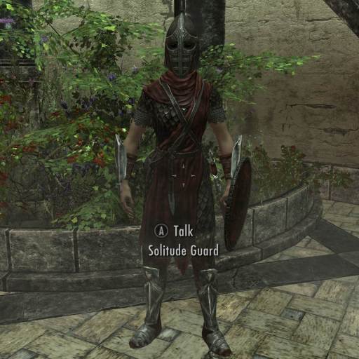 Steam Workshop::Diverse Guards Skyrim