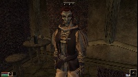 Steam Community :: Guide :: Morrowind Walkthrough For Beginners : Dark Elf