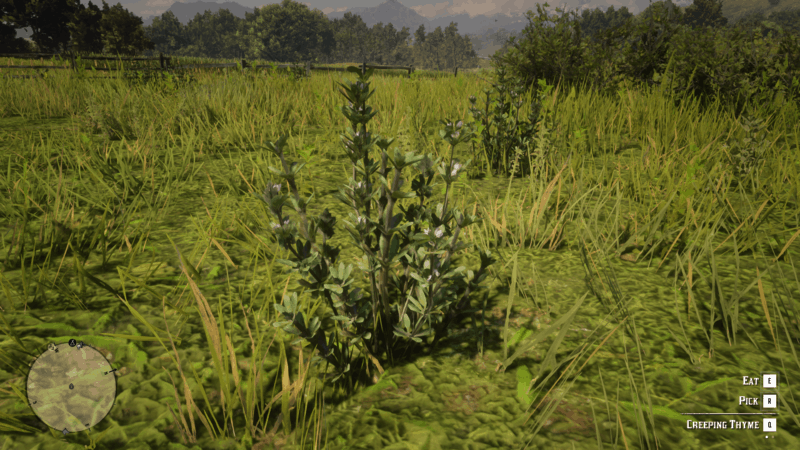 Steam Community :: Guide :: All Plant & Herb Locations