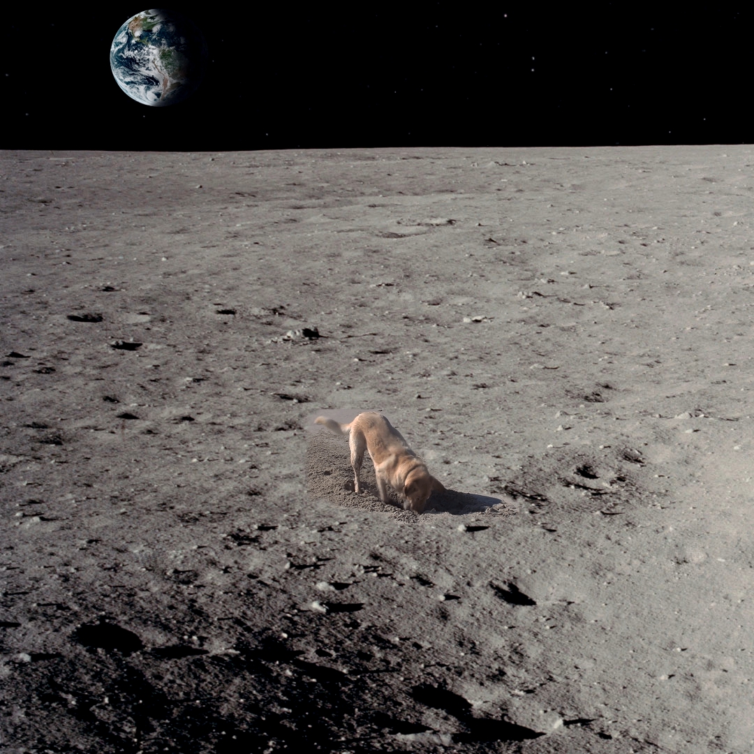 Steam Workshop::Dog on the moon