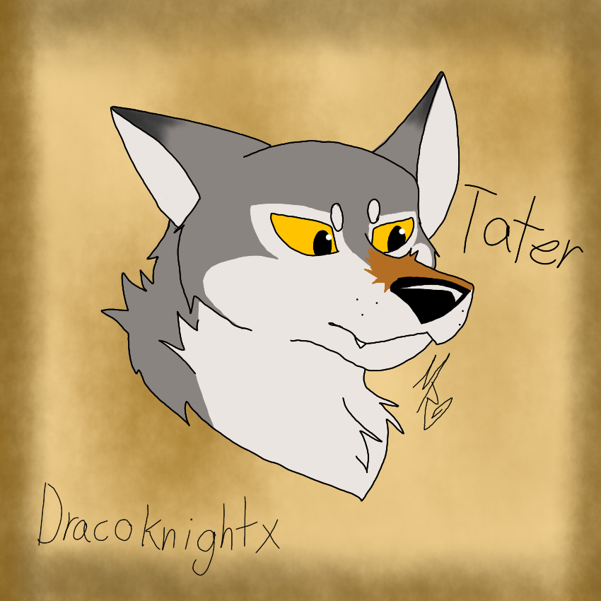 Steam Community :: WolfQuest: Classic