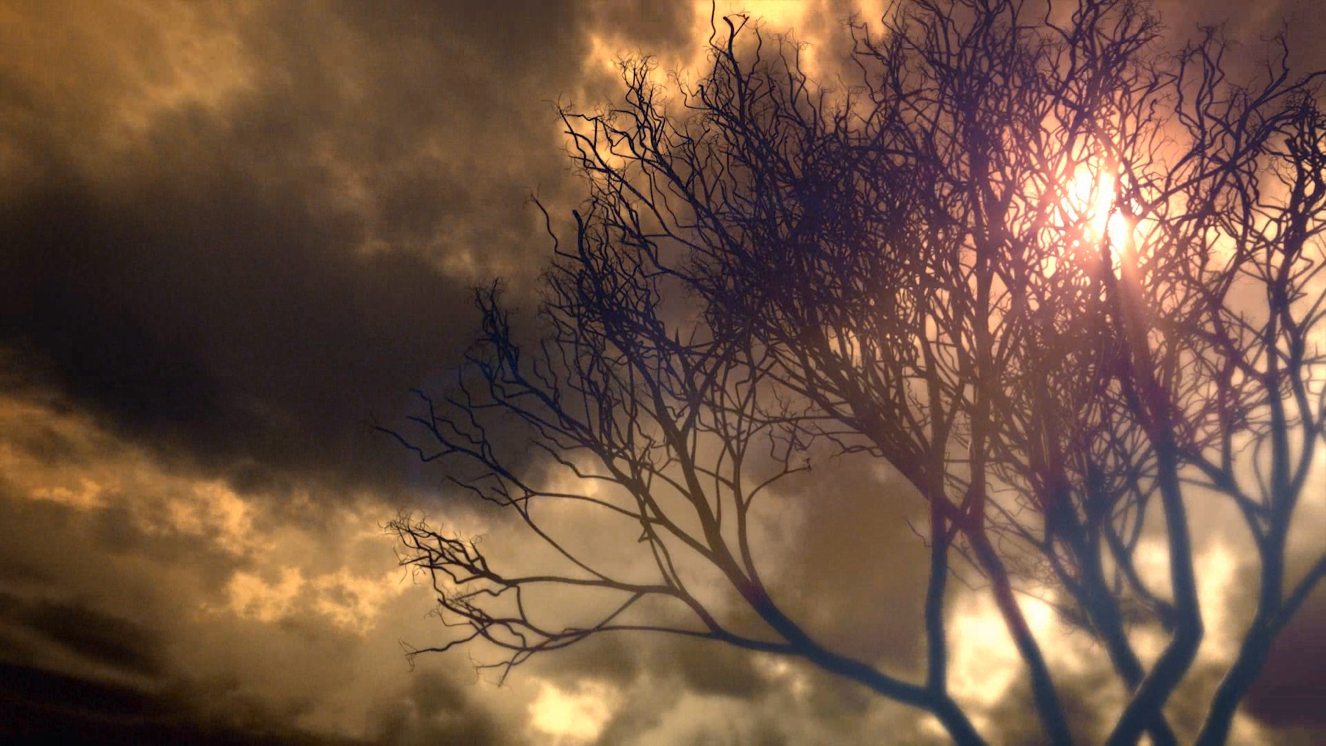 Steam Community :: RESIDENT EVIL 7 biohazard / BIOHAZARD 7 resident evil