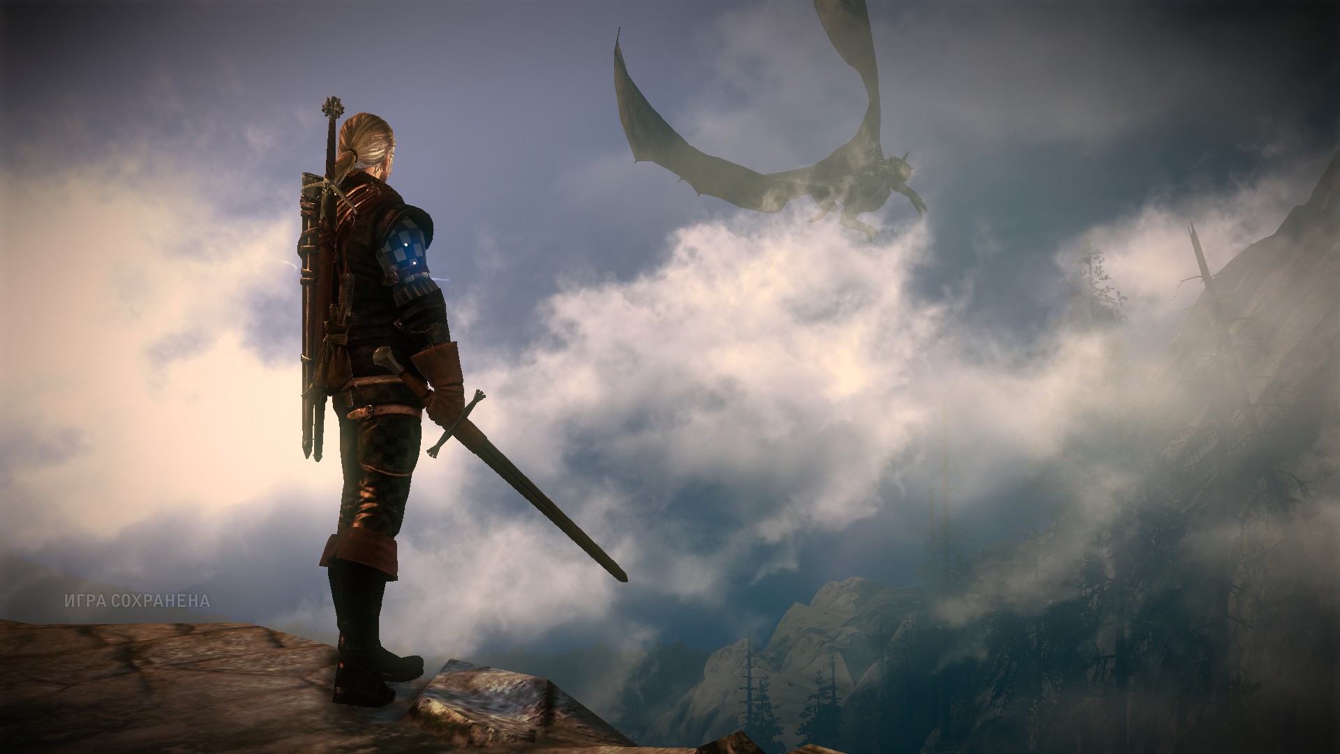 Steam Community :: The Witcher 2: Assassins of Kings Enhanced Edition