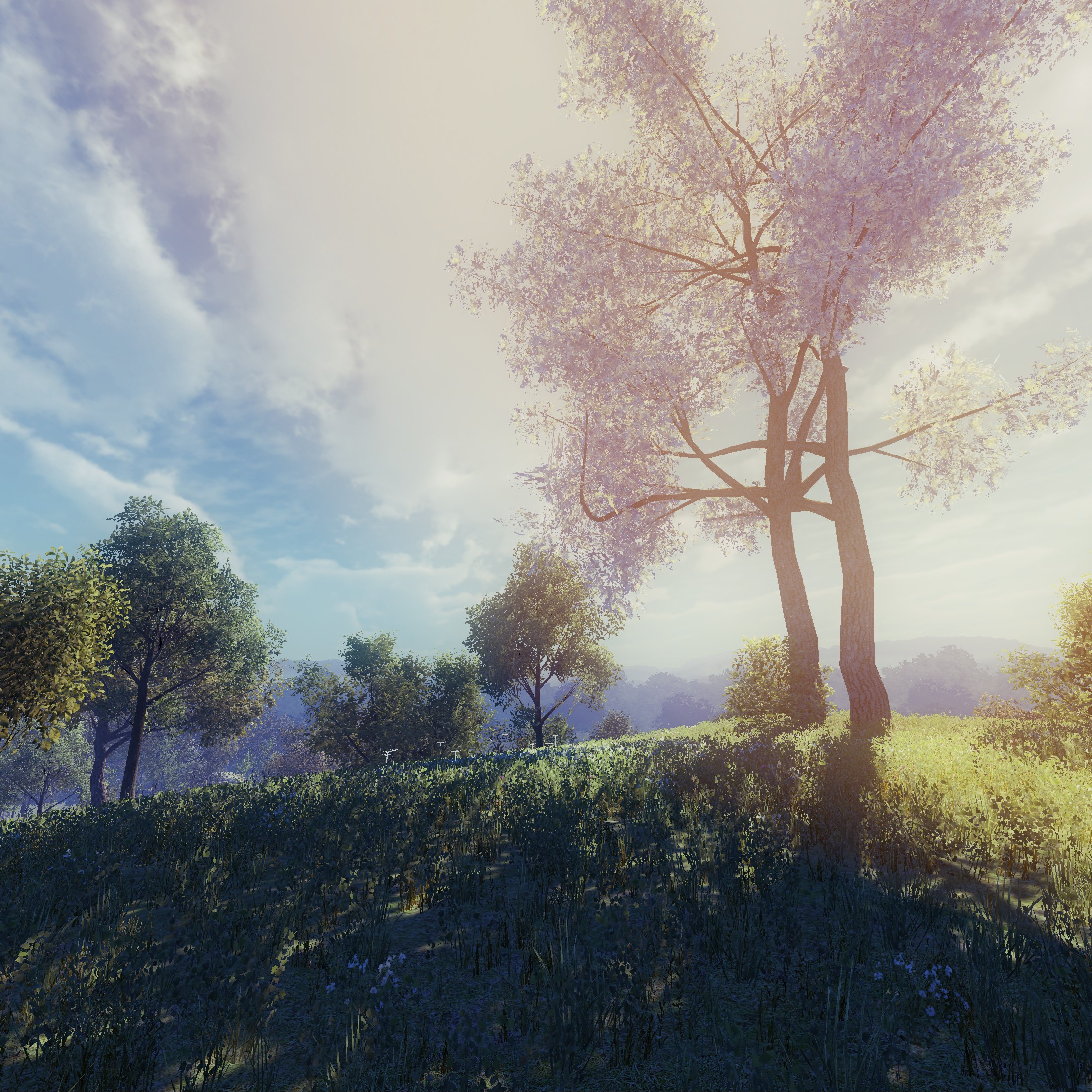 Steam Community :: Nature Treks VR