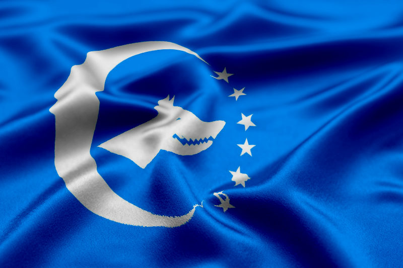 Esim - Türk-Turan partisi