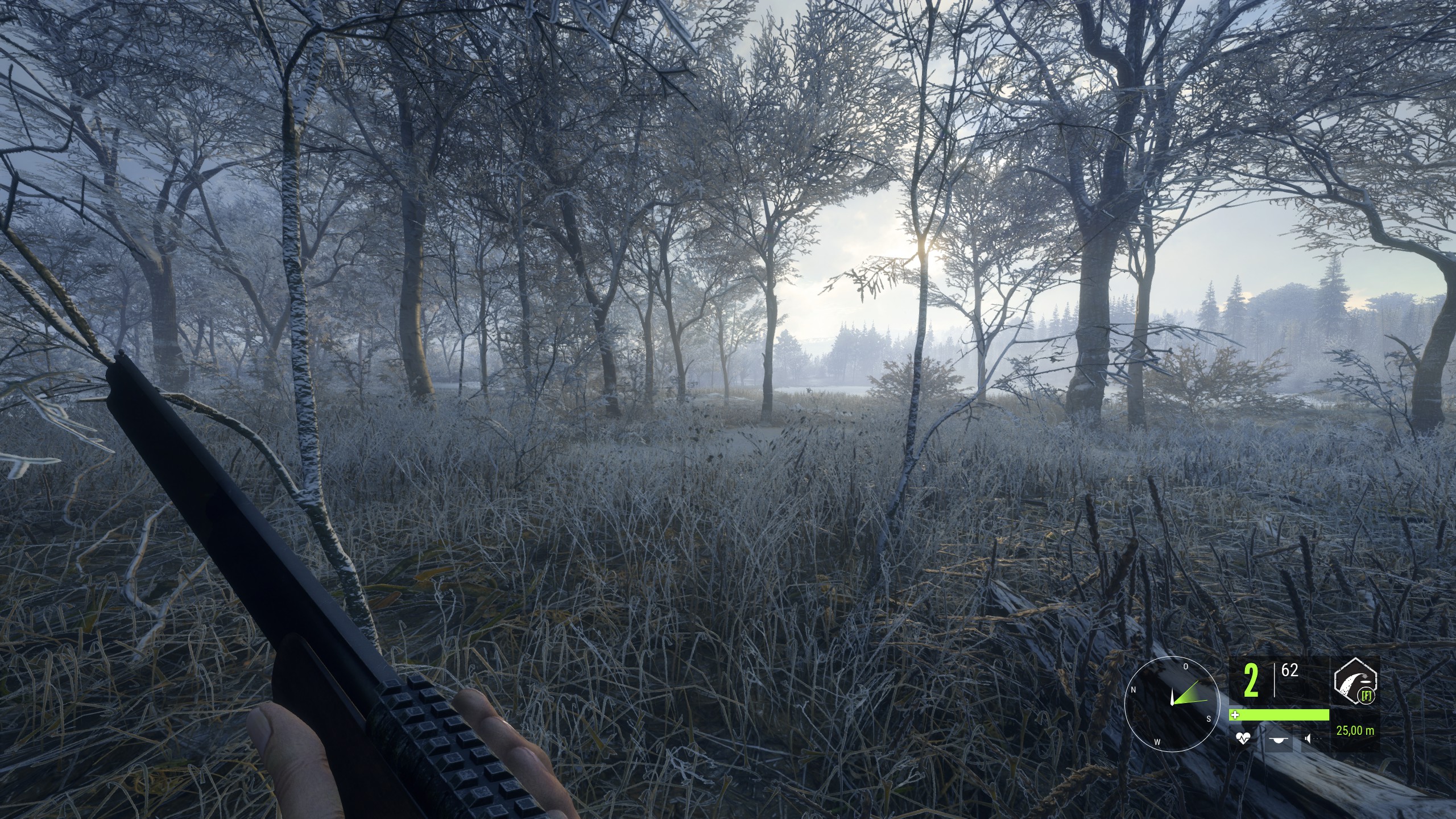 Steam Community :: Guide :: Reshade your theHunter™: CotW for Realism ...