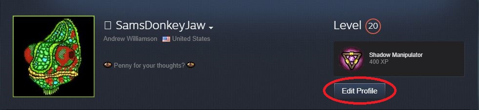 Steam Community :: Guide :: [UPDATED FOR GORGE] How To Put Forge ...