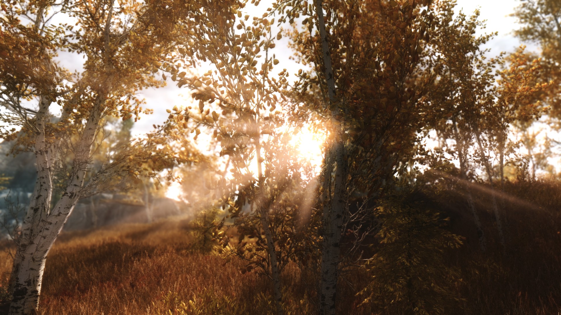 Steam Workshop::Full Immersive Skyrim Collection