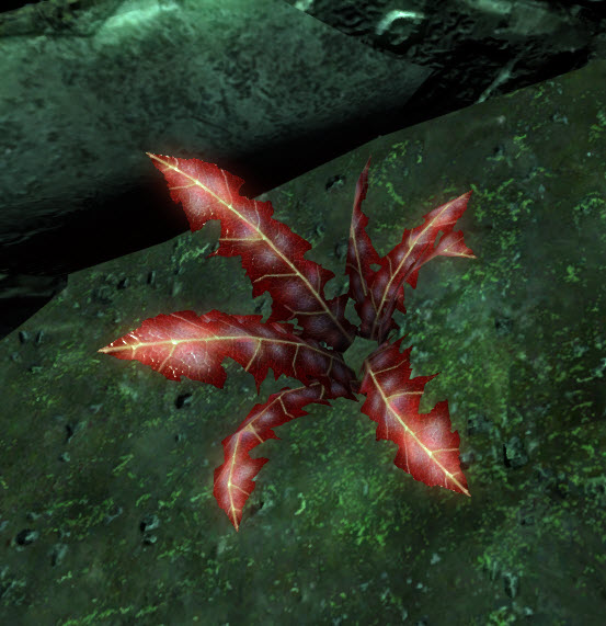 Steam Community :: Guide :: Crimson Nirnroot Map (Blackreach)