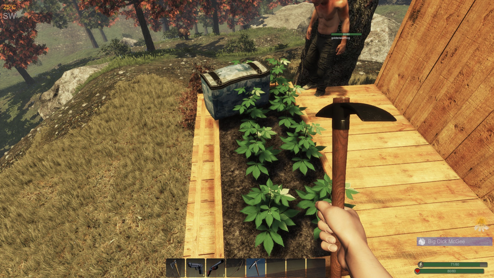 Steam Community :: Subsistence