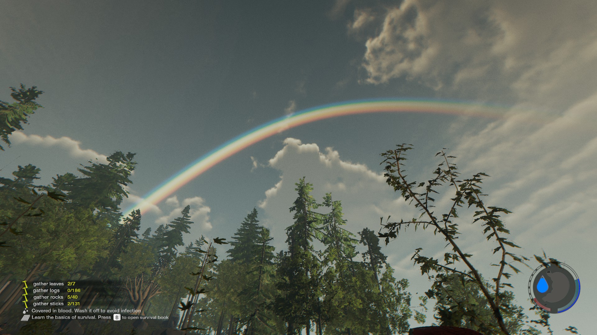 Steam Community :: The Forest