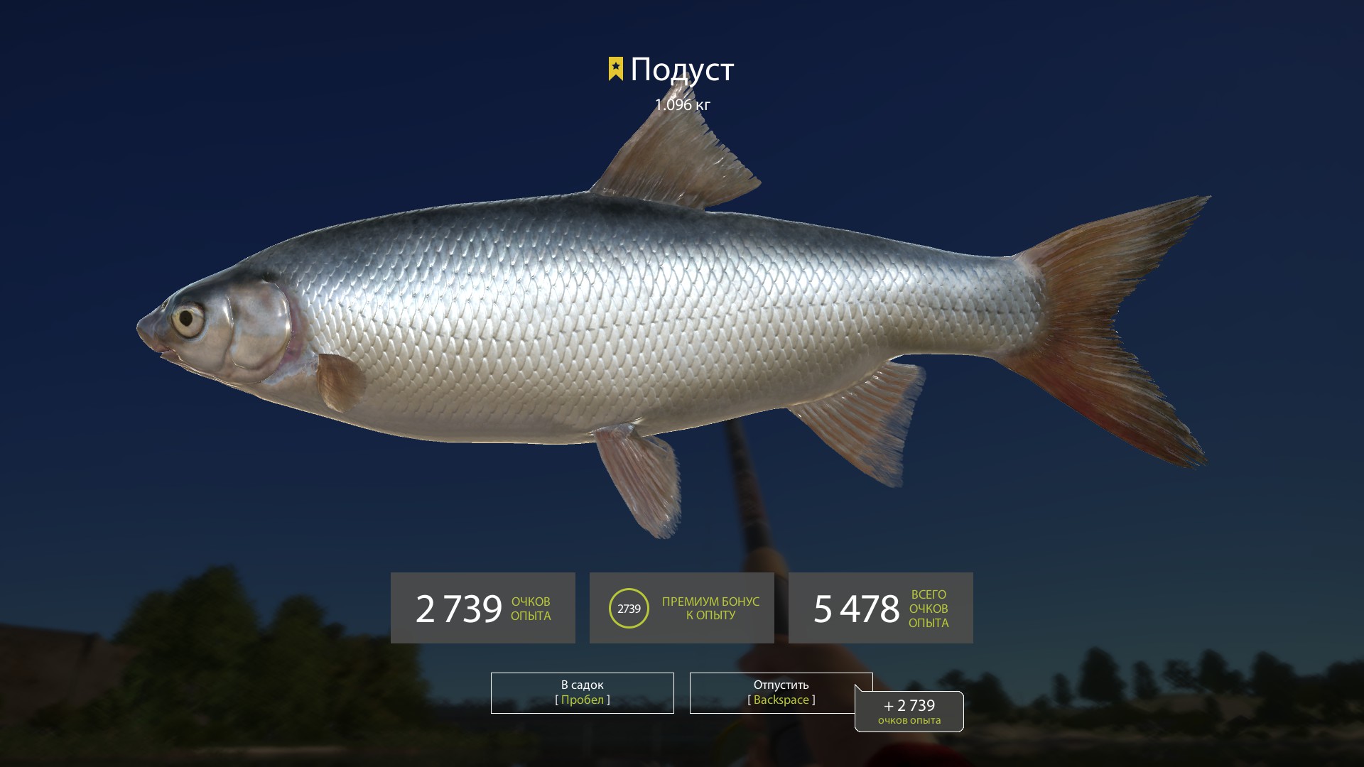 Steam Community :: Russian Fishing 4