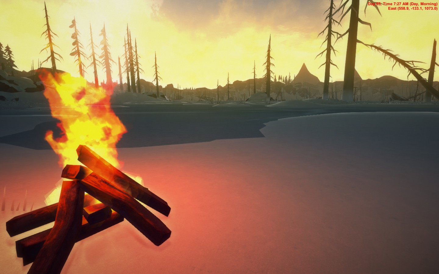 Steam Community :: Guide :: Survival guide - Lessons from the wilderness