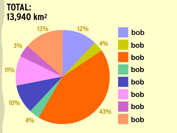 Bob – Steam Solo