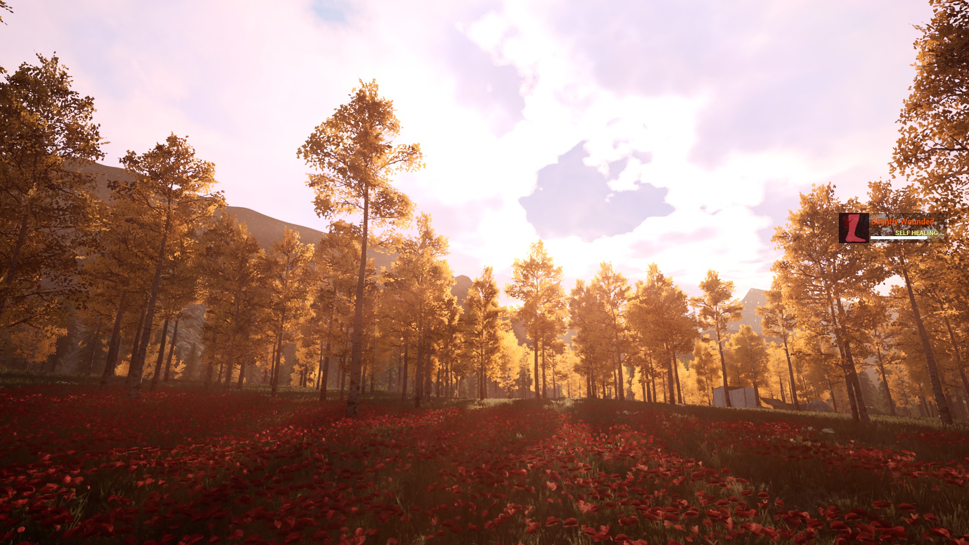 Steam Community :: Mist Survival